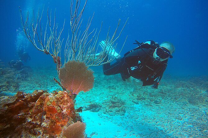 2 Tanks Scuba Diving Wreck and Reef in Cancun for Certified Divers - Safety and Health Considerations