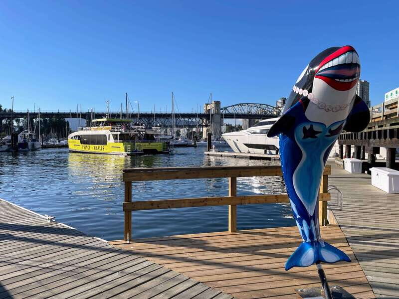 2 Unforgettable Hours in Vancouver - Practical Considerations