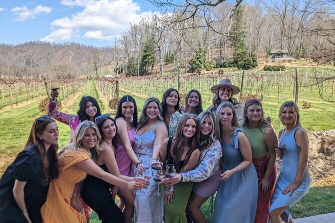 2 Vineyard Wine Tour of Western NC - Additional Highlights