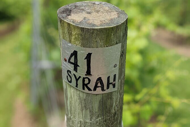 2 Vineyard Wine Tour of Western NC - Practical Considerations