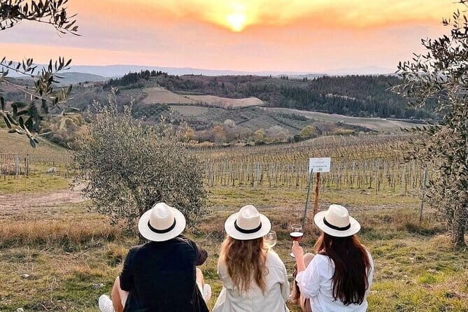2 wineries Chianti Wine Tasting & Vineyards Walk Private Tour - A Detailed Look at the 2 Wineries Chianti Wine Tasting & Vineyards Walk Private Tour