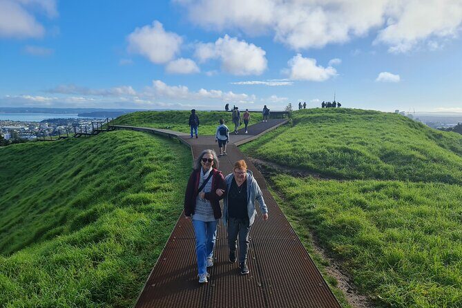 2025 Award Winning: Auckland City Highlights Half Day Tour - Insights from Travelers and Reviews