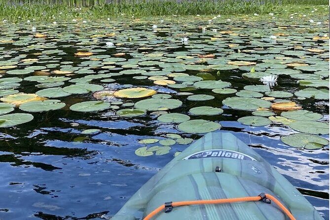 24-48 Hour Kayak Rental in Marmora, Ontario - What Reviewers Are Saying