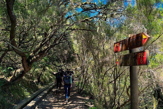 25 Fountains Levada: Hiking Tour in Madeira Rabaçal Valley (PR6) - Introduction
