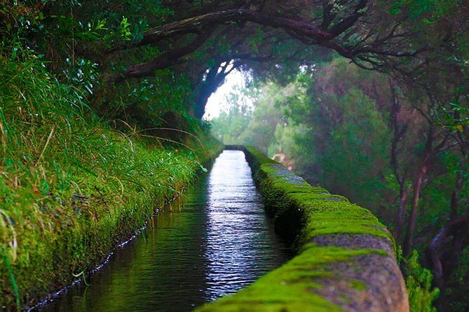 "25 Fountains" Walk / Lost In The Beautiful Forest - Deep Dive into the Itinerary