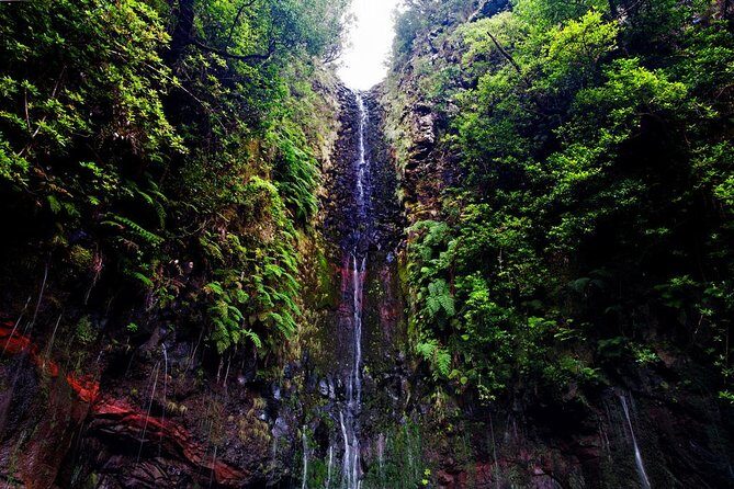 "25 Fountains" Walk / Lost In The Beautiful Forest - Tour Cost and Value for Money