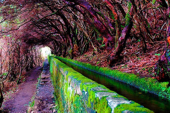 "25 Fountains" Walk / Lost In The Beautiful Forest - The Sum Up