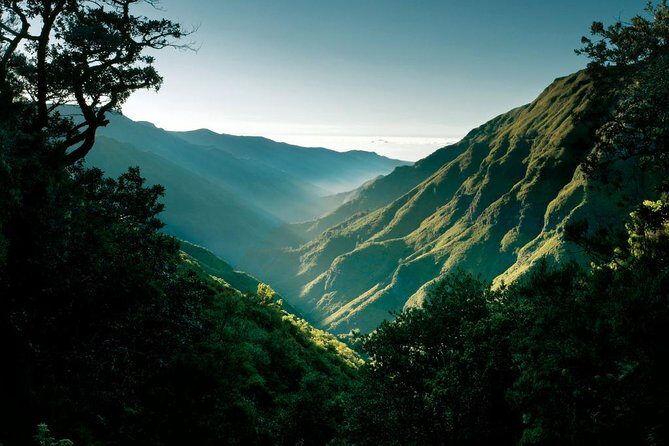 "25 Fountains" Walk / Lost In The Beautiful Forest - FAQ