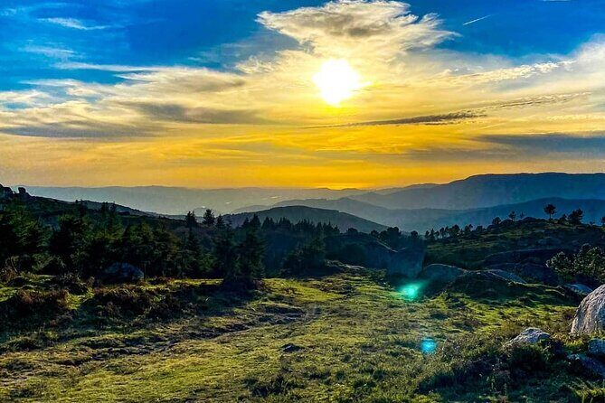 2h Buggy Tour  (price is per vehicle) - The Practical Side: Price, Booking, and Safety