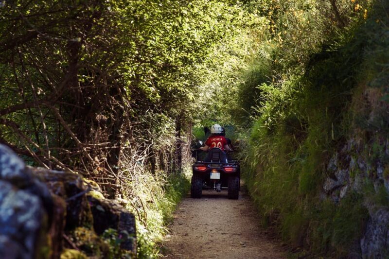 2h Quad Tour  Arcos de Valdevez  Peneda Gerês - Who Should Book This Experience?