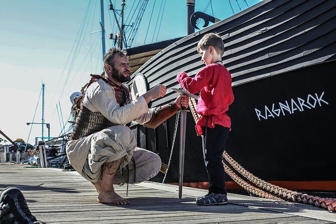 2h Viking Cruise Whales & Dolphins Watching - Key Points