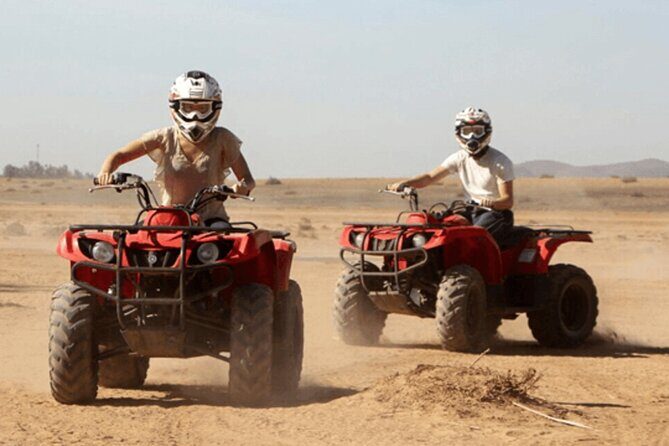 2Hours DE Quad + Comedy EN Tour and Crocoparc Tour - Flexibility and Practical Details