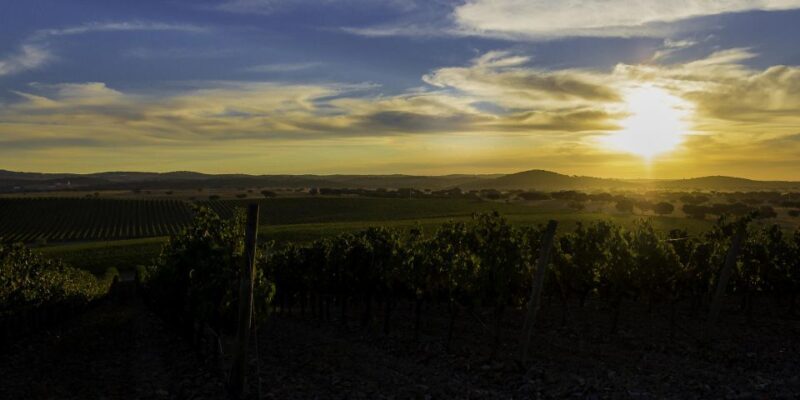 2hr Cork Safari in a Classical Land Rover - Final thoughts