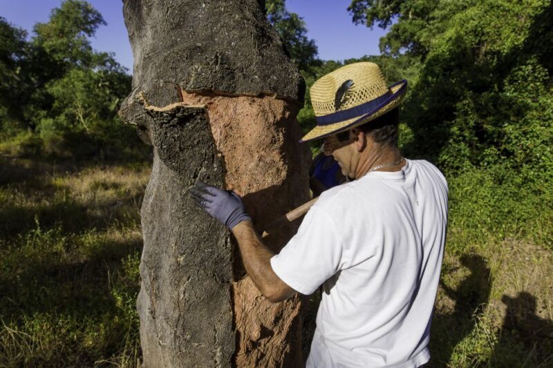2hr Cork Tour in a Jeep - Key Points