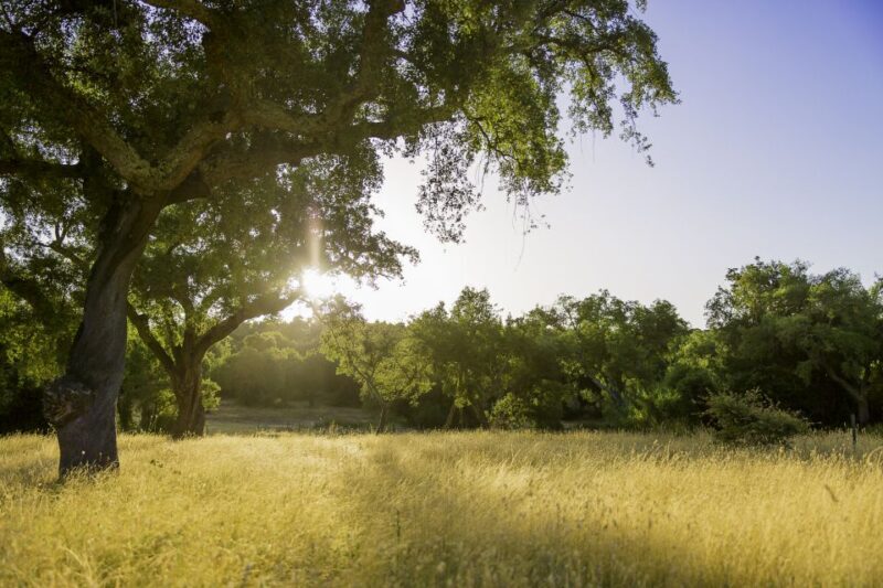 2hr Cork Tour in a Jeep - An In-Depth Look at the Experience