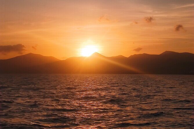 2hrs Dolphins Sunset Sailing Cruise With Drink - The Experience at a Glance