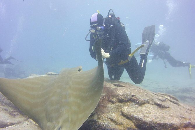 2x diving package, on request including refreshment - The Practicalities: Pricing, Group Size, and More