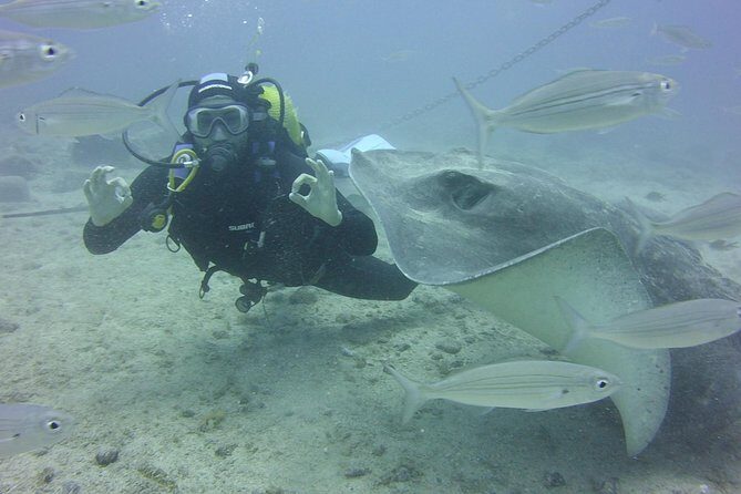 2x diving package, on request including refreshment - Final Thoughts