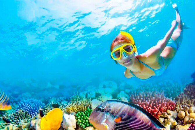 2x1 Tour: Isla Contoy, Isla Mujeres, Open Bar, Lunch and Transfers - Key Points