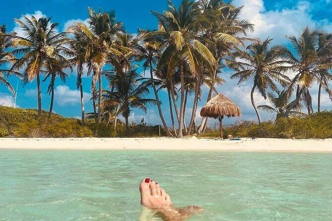 2x1 Tour: Isla Contoy, Isla Mujeres, Open Bar, Lunch and Transfers - The Sum Up