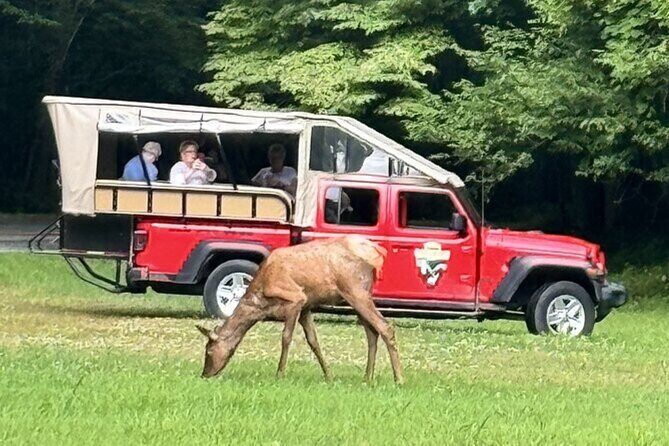 3 - 3.5 HR Smoky Mtn. Cherokee Eco Elk Safari Jeep Adventure - What to Expect on the Tour