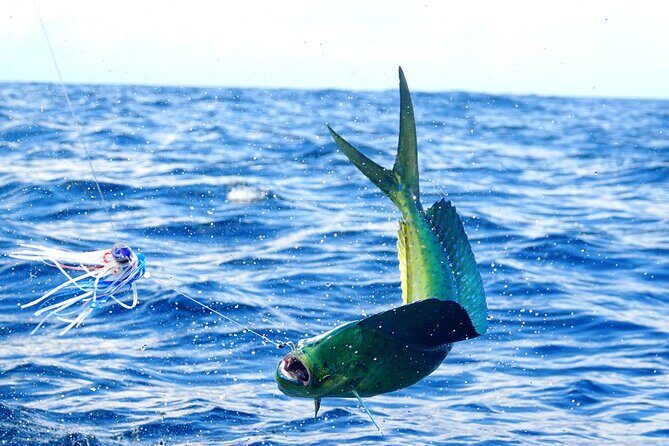 3/4 Day 7 Hour Offshore Fishing Charter - The Itinerary in Detail