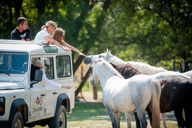 3.5 Hour Camargue 4x4 Safari from Le Grau-du Roi - A Genuine Look at the Camargue Safari Experience