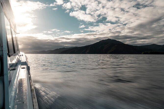 3.5 Hour Marlborough Sounds Delivery Cruise - What You Can Expect from the Stops and Views