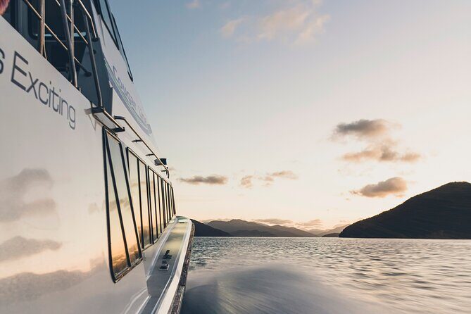 3.5 Hour Marlborough Sounds Delivery Cruise - Final Thoughts: Who Is This Tour For?