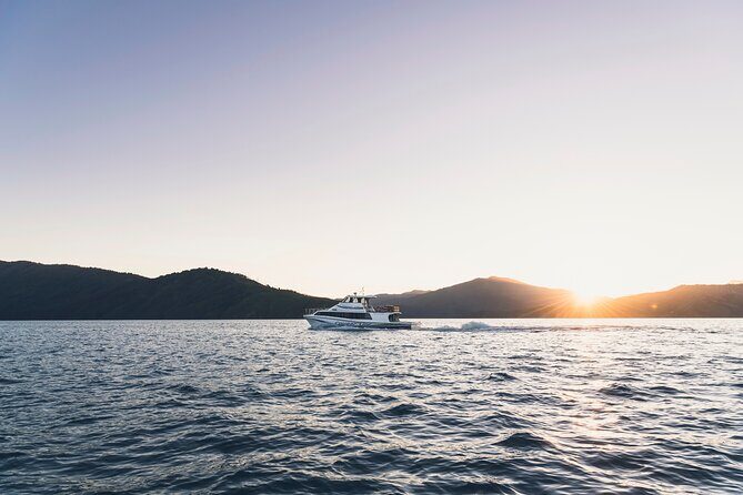 3.5 Hour Marlborough Sounds Delivery Cruise - Final Word