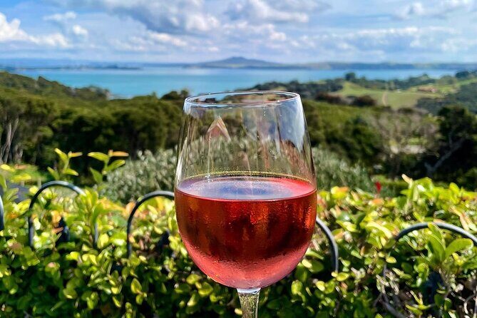 3.5 hour Sunset Tour on Waiheke Island - The Experience in Detail