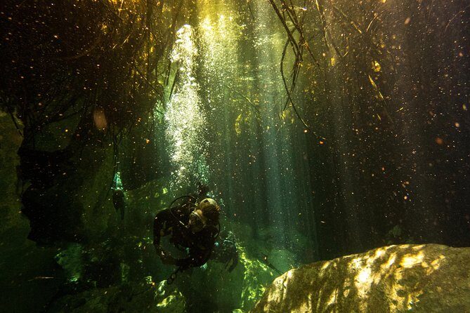 3 Cenote Dives - Casa & Dos Ojos - The Value of This Tour