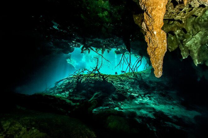 3 Cenote Dives - Casa & Dos Ojos - The Sum Up