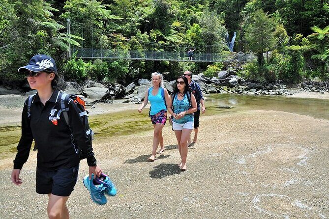 3 Day Abel Tasman Guided Walk - Who Should Consider This Tour?