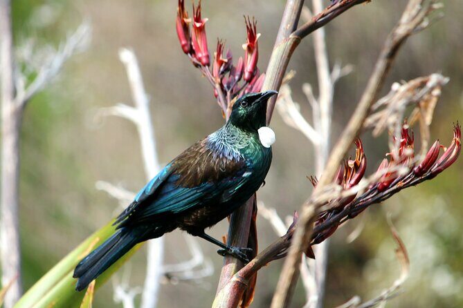 3 Day Abel Tasman Guided Walk - The Sum Up