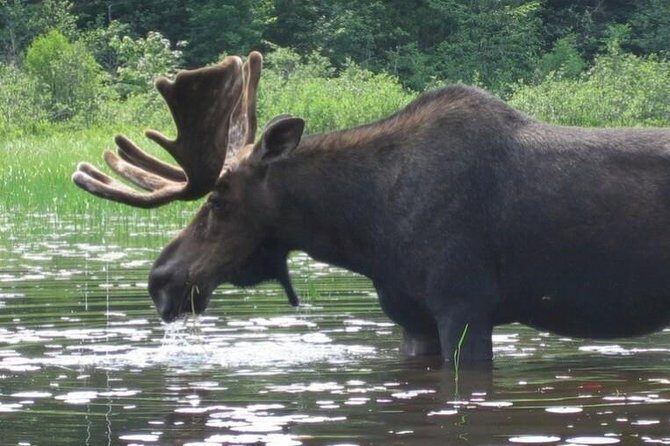 3-Day Algonquin Park Canoe Trip - Breaking Down the 3-Day Itinerary: What to Expect