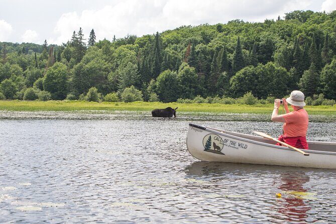 3-Day Algonquin Park Canoe Trip - Who Should Consider This Trip?