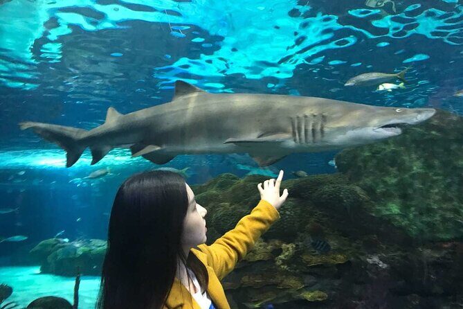 3 Day and 2 Night Tour: Toronto, 1000 Islands, and Niagara Falls - Key Points