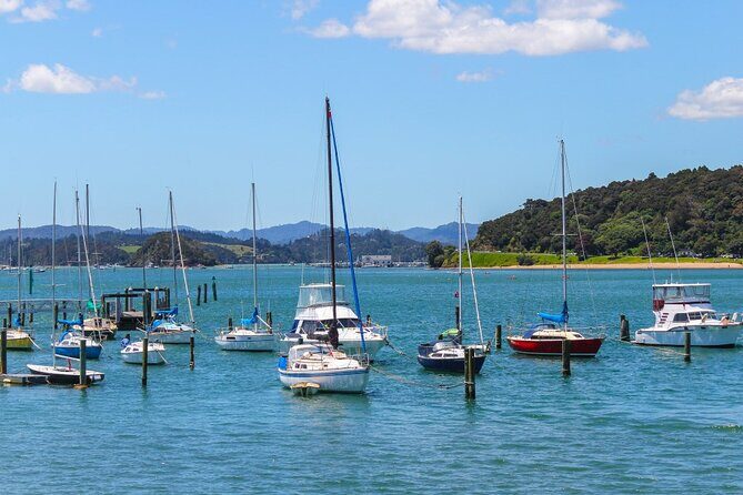 3 Day Bay Of Islands Winter Tour from Auckland - Who Will Love This Tour?