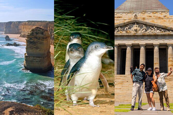 3 Day Combo: Great Ocean Road, Penguin Parade and FREE City Tour - Introducing the 3 Day Combo: Great Ocean Road, Penguin Parade, and Free City Tour