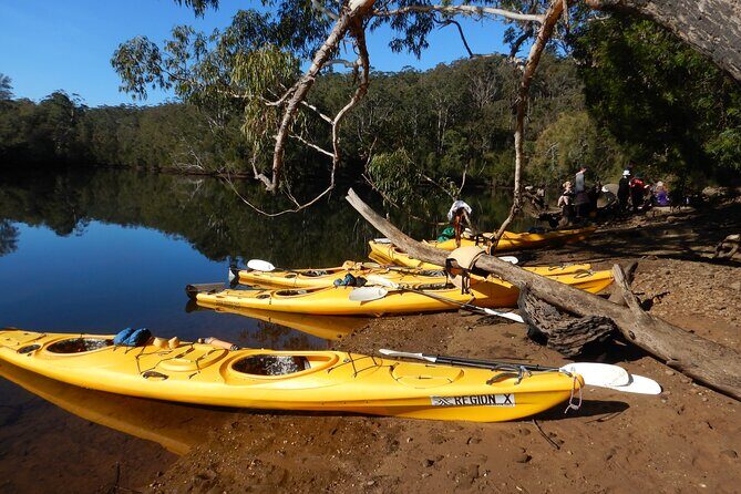 3 Day Guided Kayak Camping Adventure on the Clyde River - Authentic Experiences & Tips
