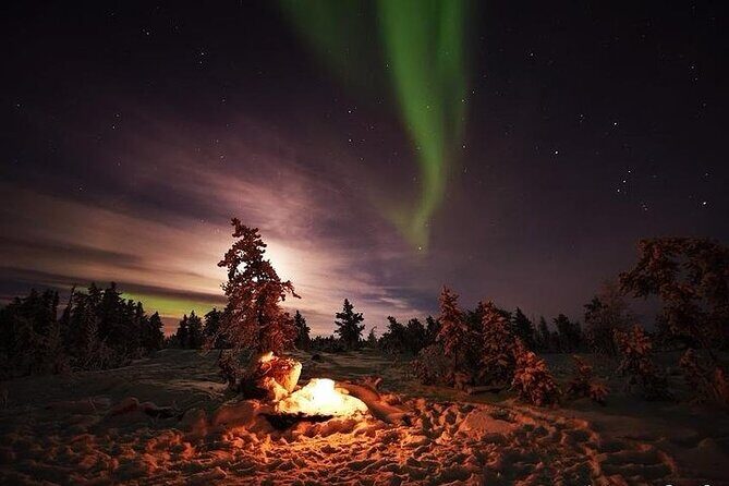 3-Day Guided Tour to Yellowknife Aurora Viewing - An In-Depth Look at the Tour Itinerary