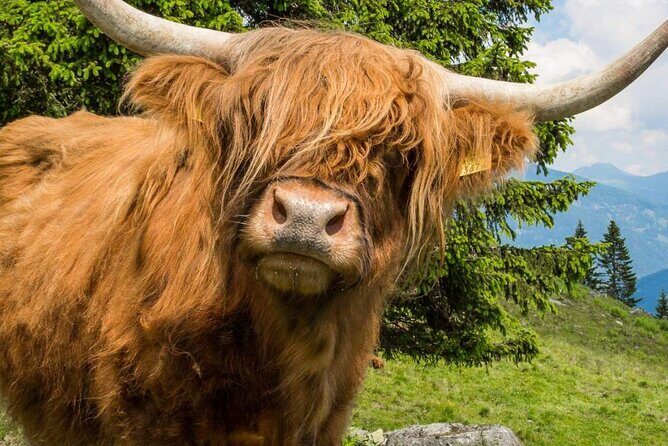 3 Day - Isle of Skye, Loch Ness & Glenfinnan Tour from Edinburgh - Discovering Scotland in Three Days