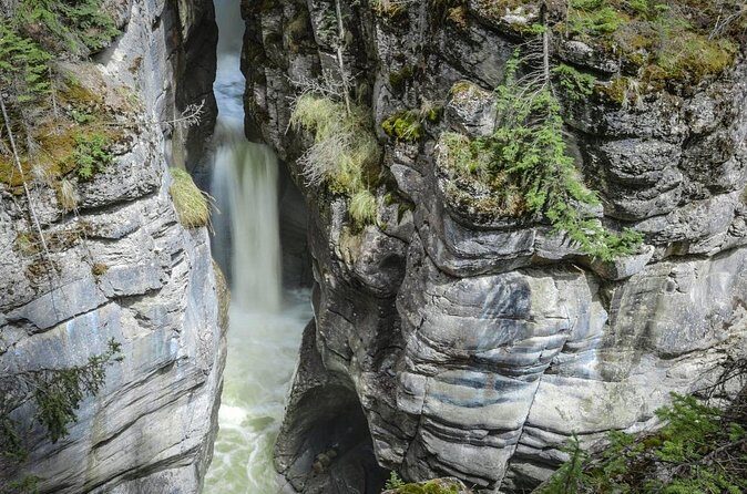 3-Day Jasper and Icefield Tour from Calgary - Who Is This Tour Best For?