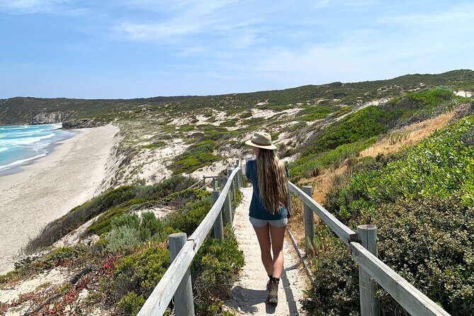 3-Day Kangaroo Island Adventure Tour - Day Three: Coastal Vistas and Iconic Beaches