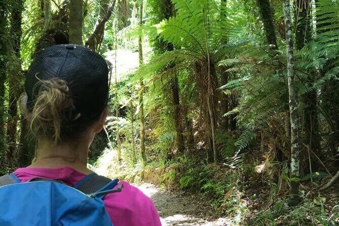 3 Day Kayak & Walk North New Zealand - Authentic Traveler Insights