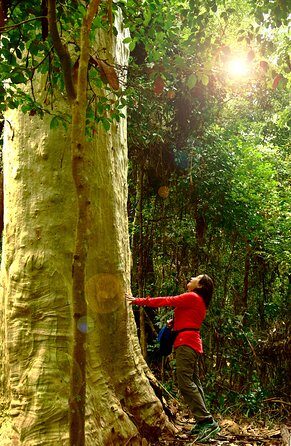 3 Day Murramarang Coast Journey from Batemans Bay with Meals and Villa Accom - Practical Details & Logistics
