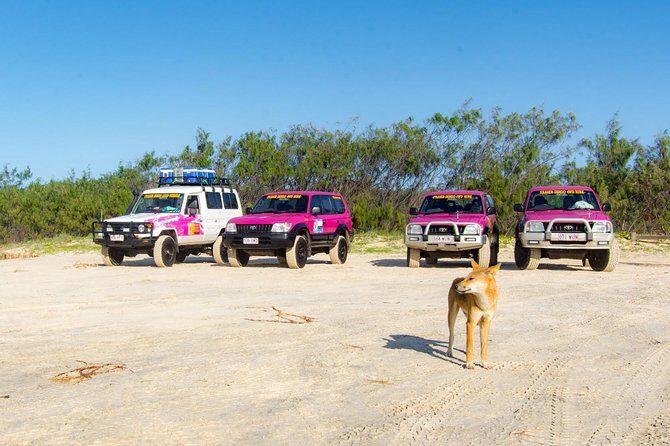 3 Day PINK4WD Tagalong Tour - K'gari/Fraser Island - A Deep Dive into the 3-Day Fraser Island Adventure
