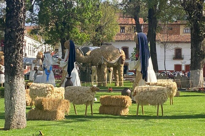 3-Day Private Guided Tour of Monarch Butterflies in Michoacan - Why This Tour Offers Real Value