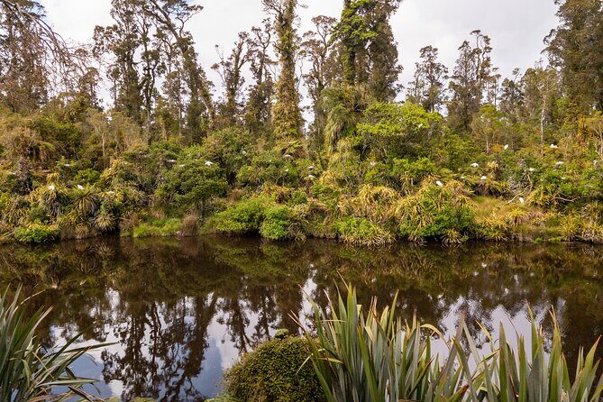 3 Day Private Photography Tour West Coast NZ Departs Queenstown - Who is This Tour Best For?